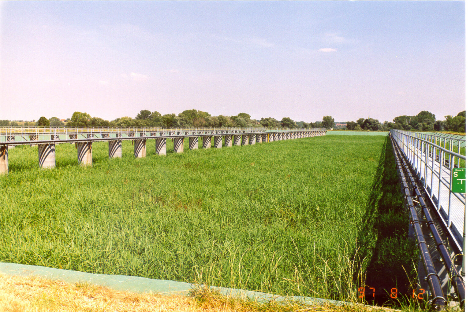 Sewage sludge dewatering / mineralisation reed bed - SusTeco