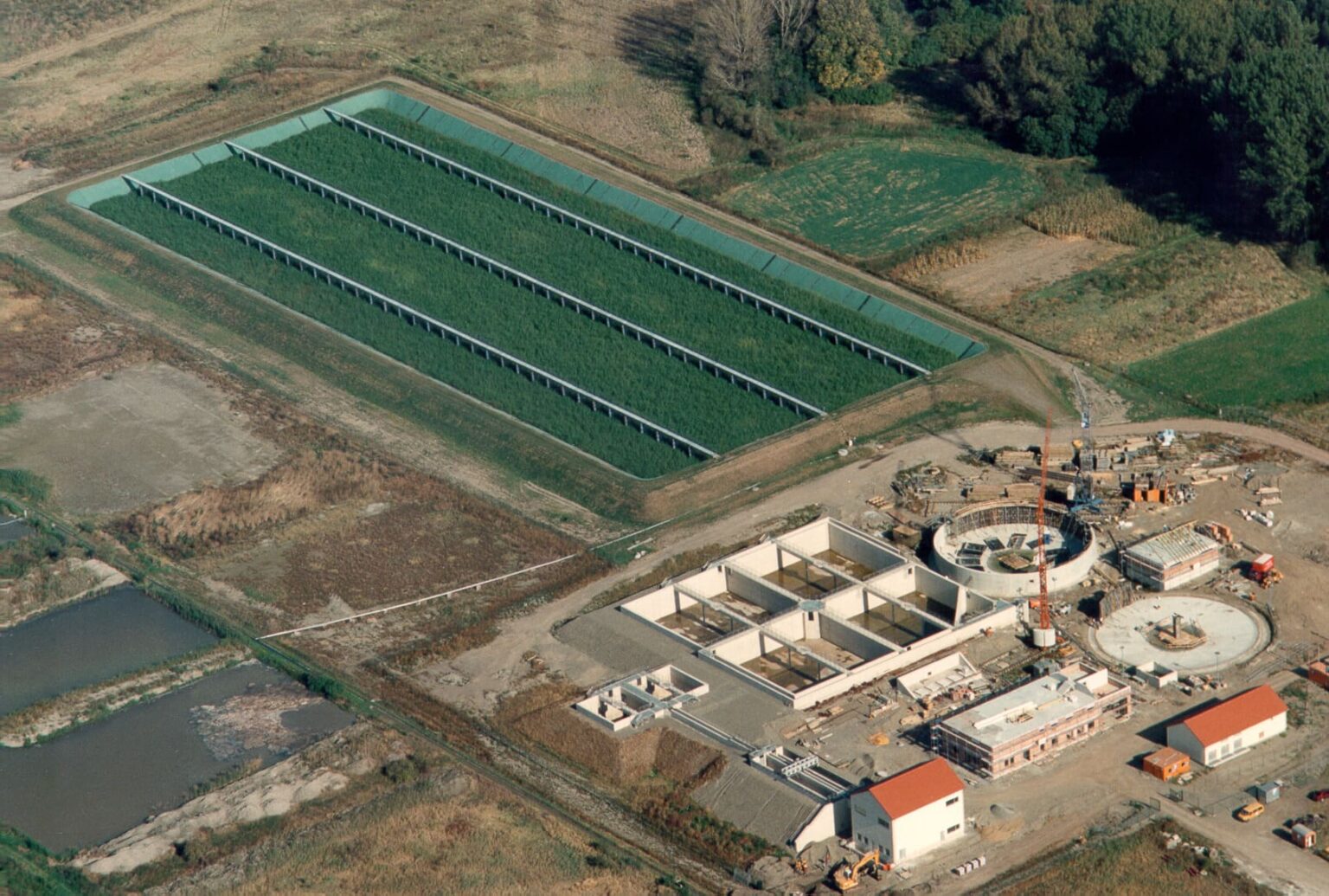 Sewage sludge dewatering / mineralisation reed bed - SusTeco